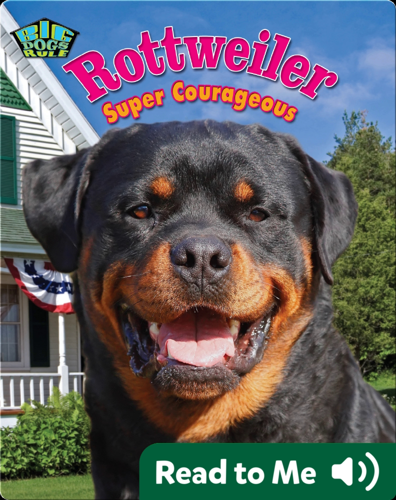 Rottweiler: Super Courageous Book by Meish Goldish | Epic