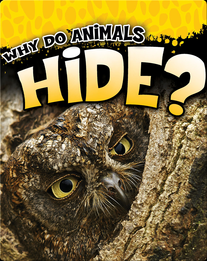 Why Do Animals Hide? Book by Robin Koontz | Epic