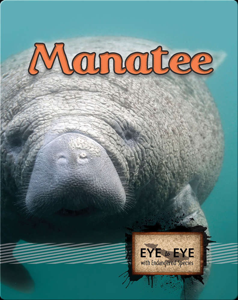 Manatees Book by Precious McKenzie | Epic