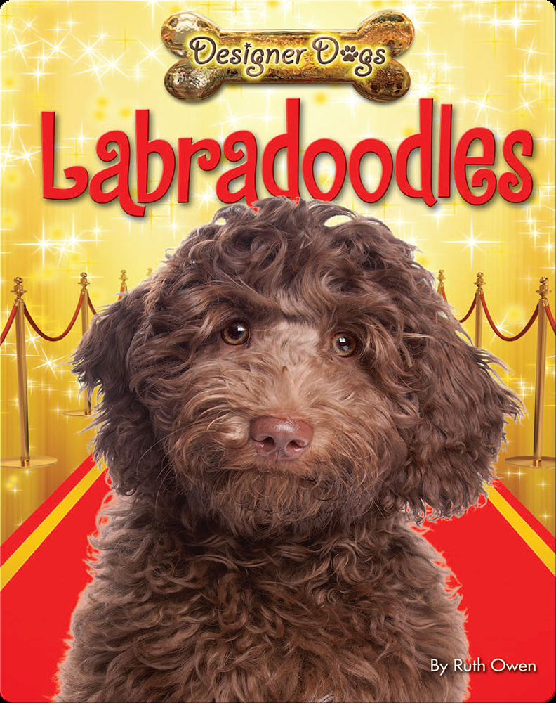 Labradoodles Book by Ruth Owen | Epic