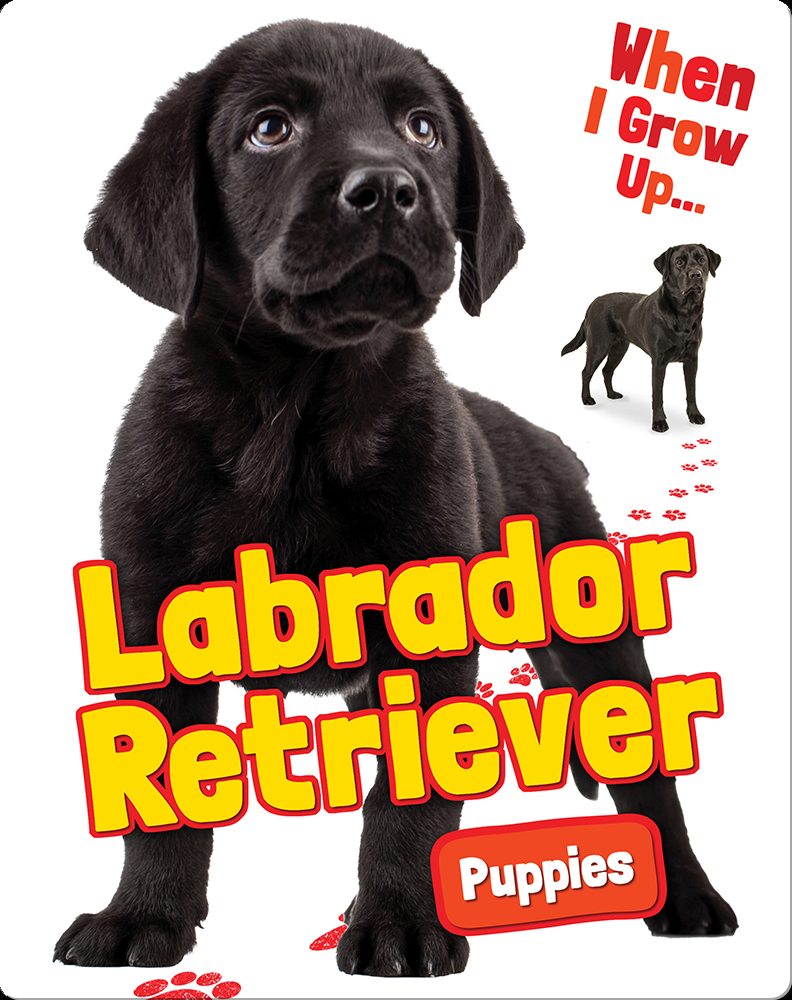 Labrador Retriever Puppies Book by Emmie Chang | Epic