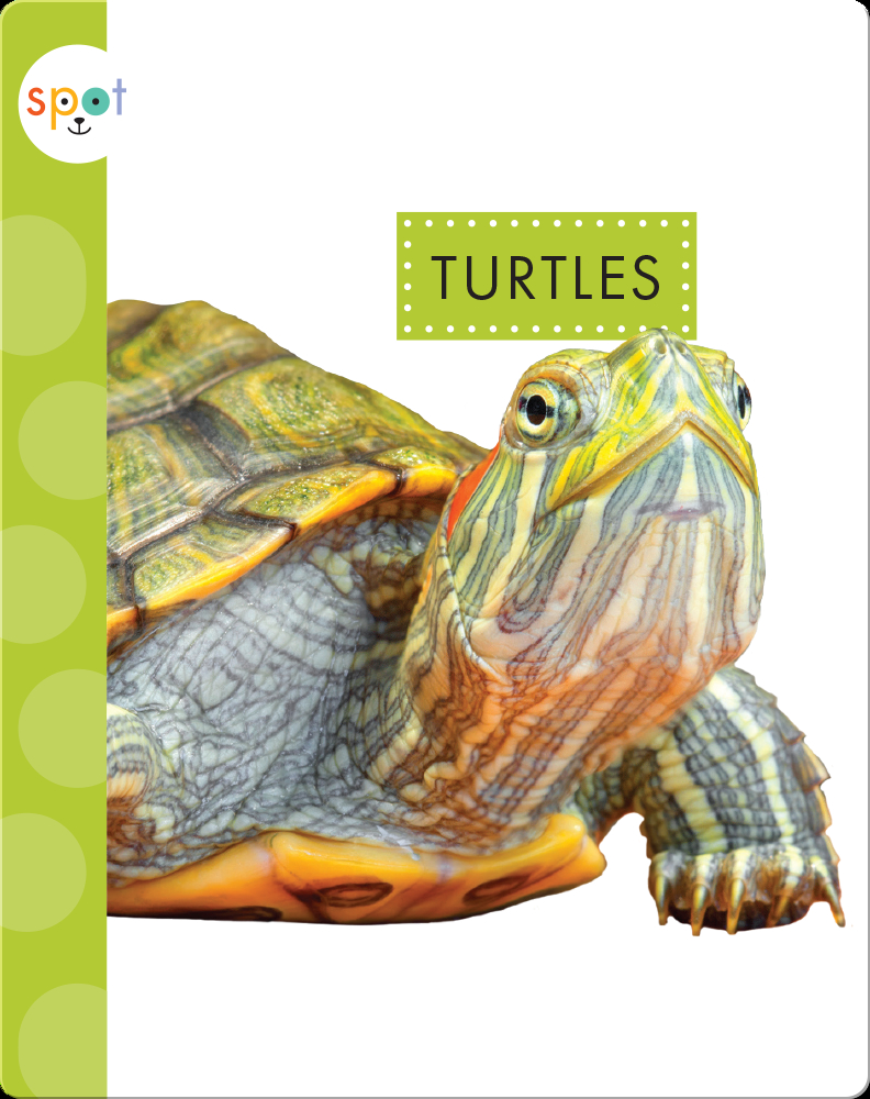 Turtles Book by Mari Schuh | Epic