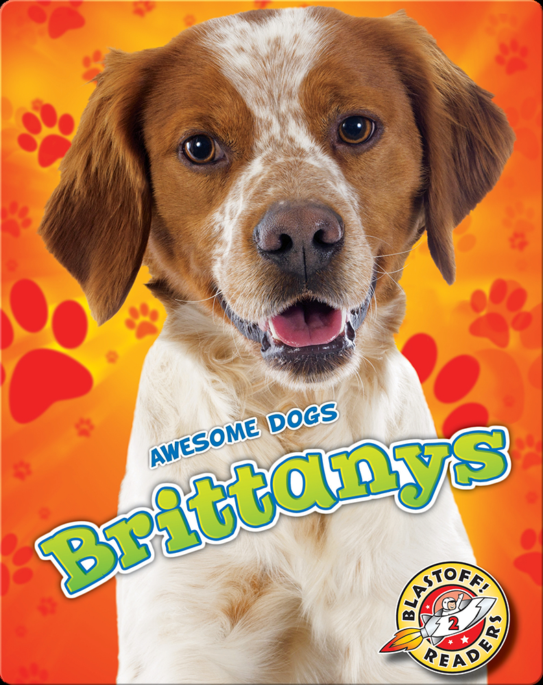Brittanys Book by Lindsay Shaffer | Epic