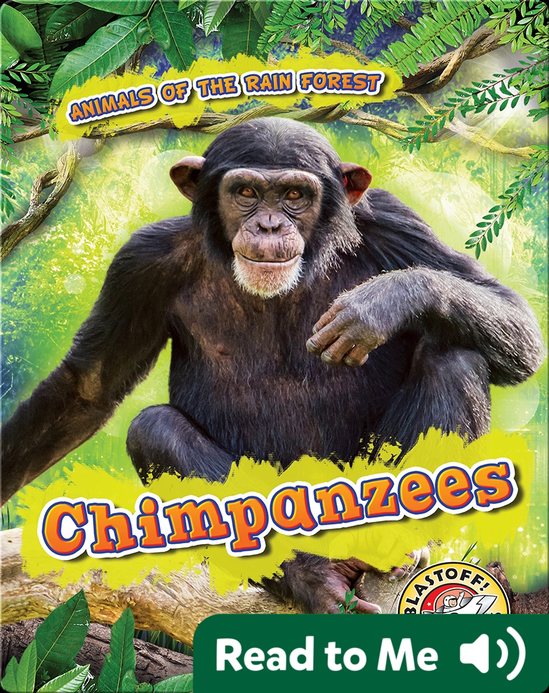 Chimpanzees Book by Rachel Grack | Epic