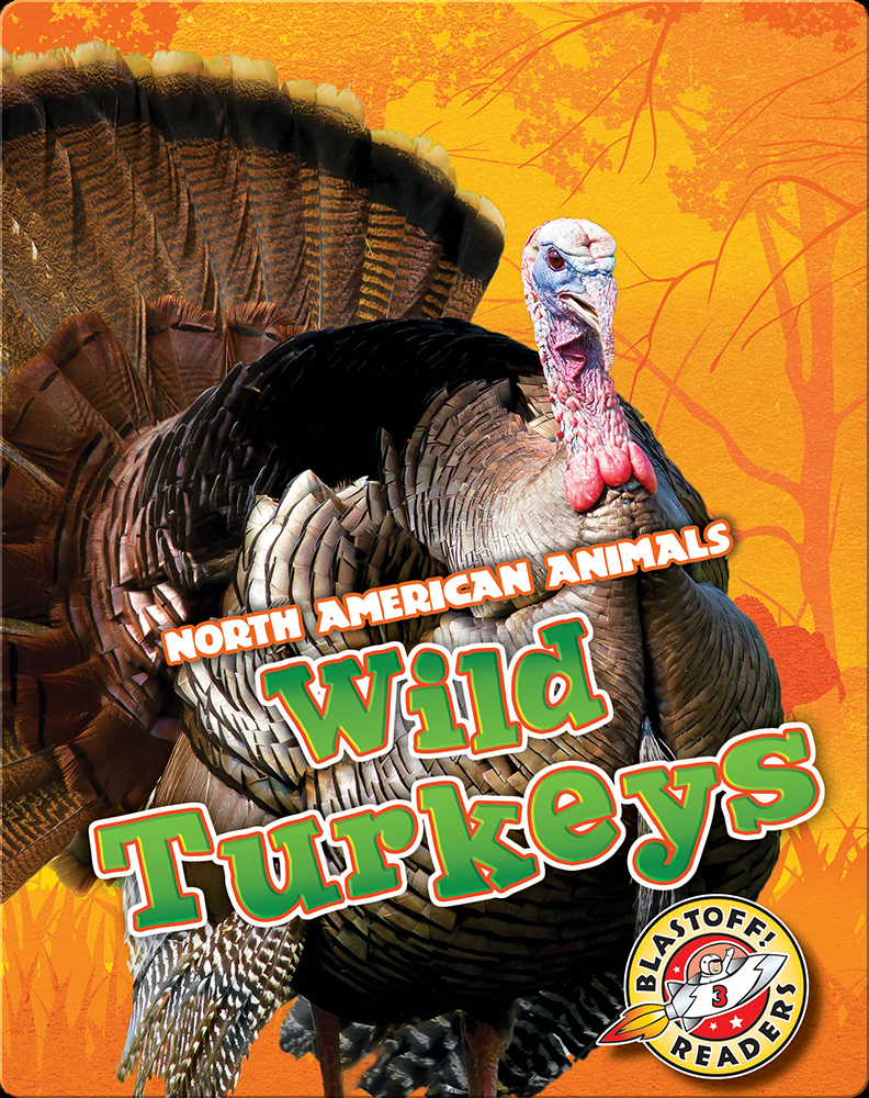 Wild Turkeys Book by Rebecca Sabelko | Epic