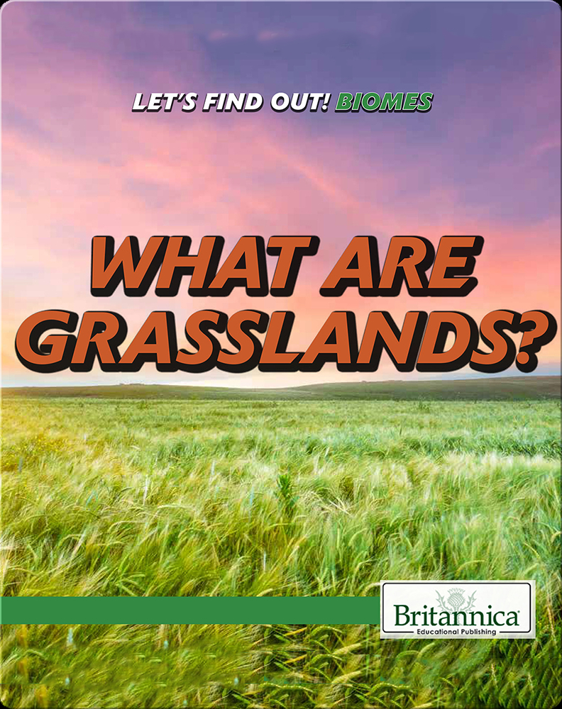 What Are Grasslands? Book by Laura Loria | Epic