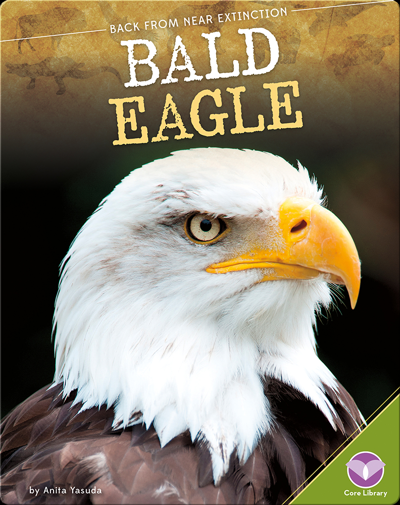 Bald Eagle Book by Anita Yasuda | Epic