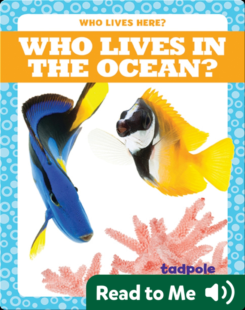 Who Lives in the Ocean? Book by Jenny Fretland Vanvoorst | Epic