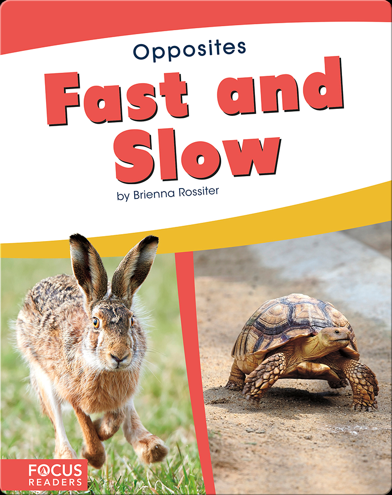 Opposites: Fast and Slow Book by Brienna Rossiter | Epic