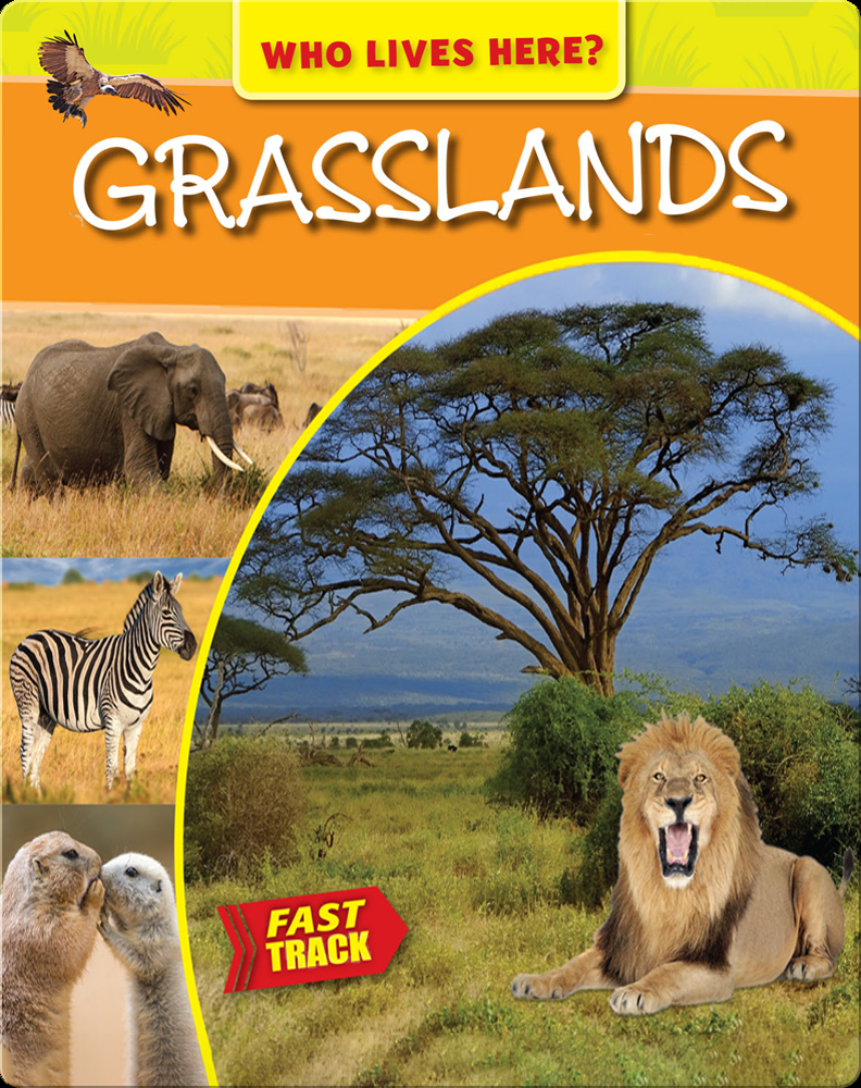 Grasslands Book by Mary-Jane Wilkins | Epic