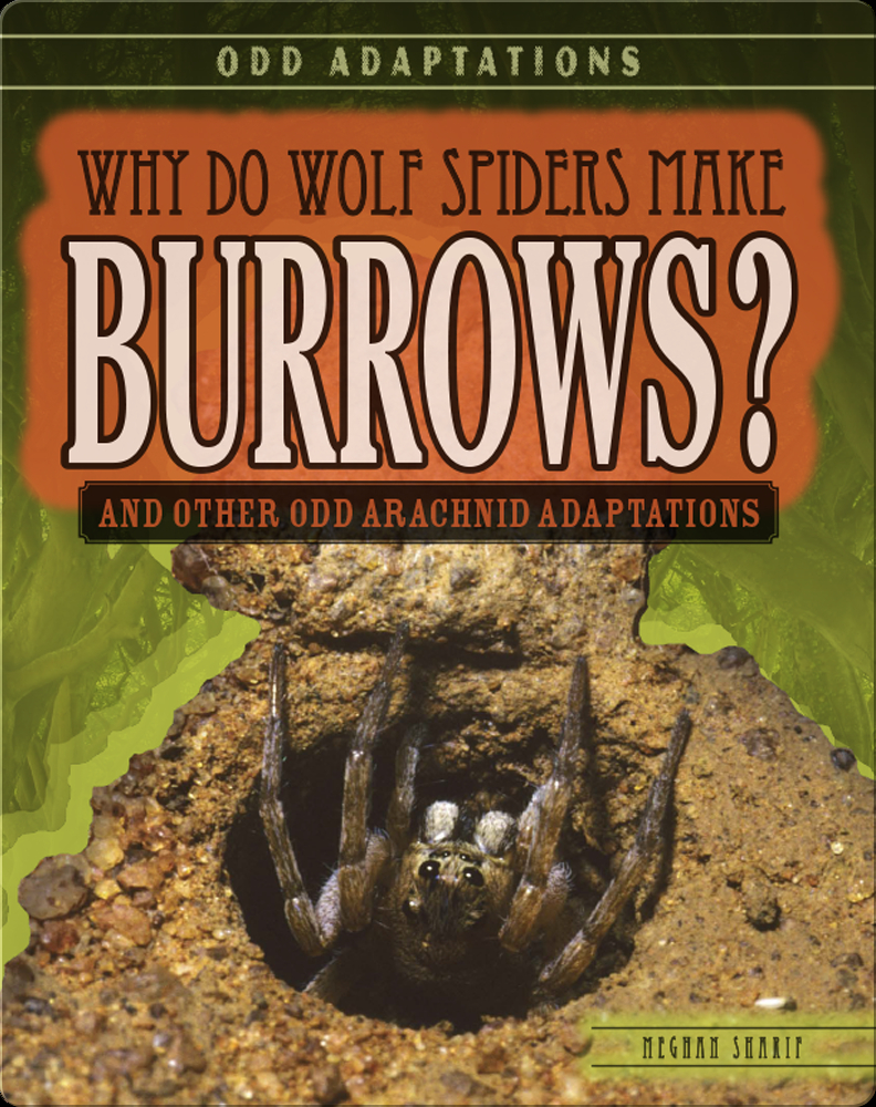 Why Do Wolf Spiders Make Burrows? And Other Odd Arachnid Adaptations ...