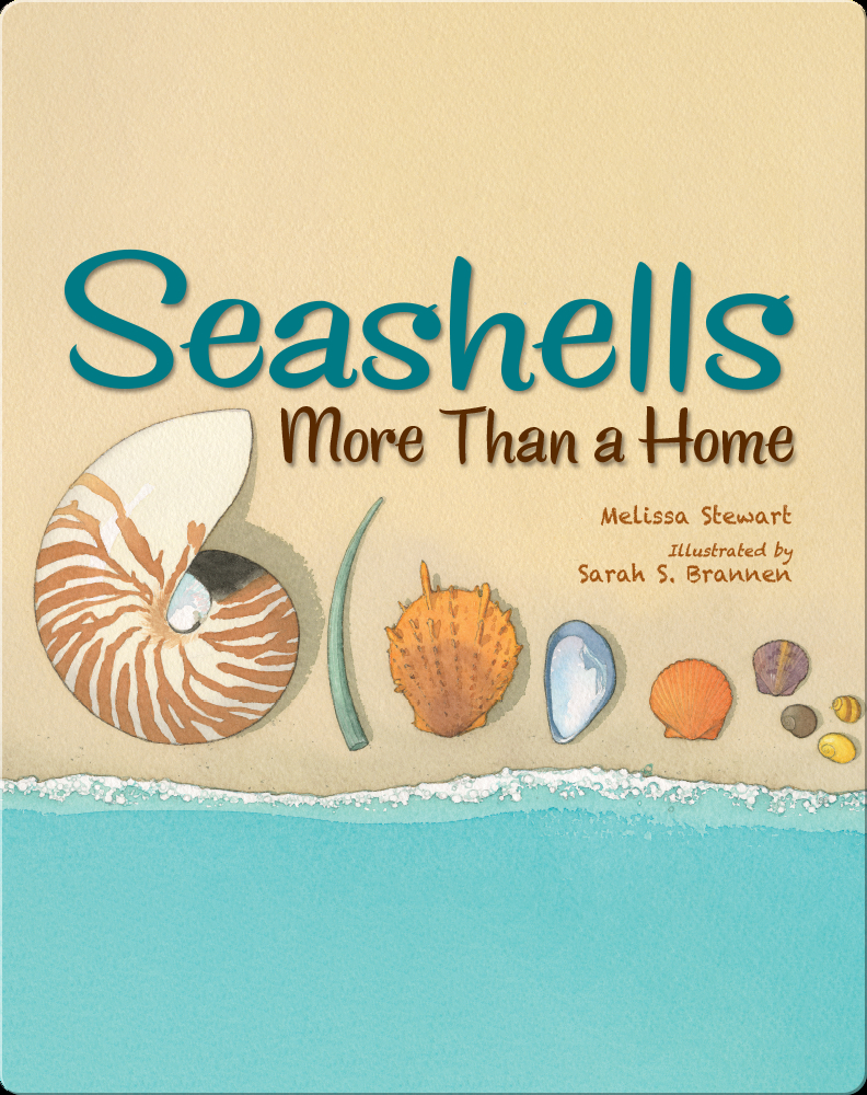 Seashells Book by Melissa Stewart | Epic