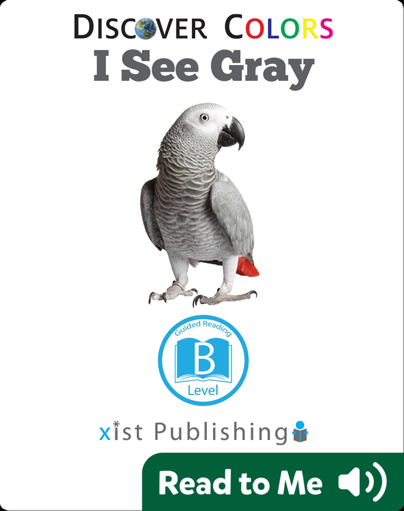 Discover Colors: I See Gray Book by Xist Publishing | Epic