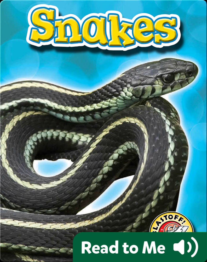 Snakes: Backyard Wildlife Book by Emily Green | Epic