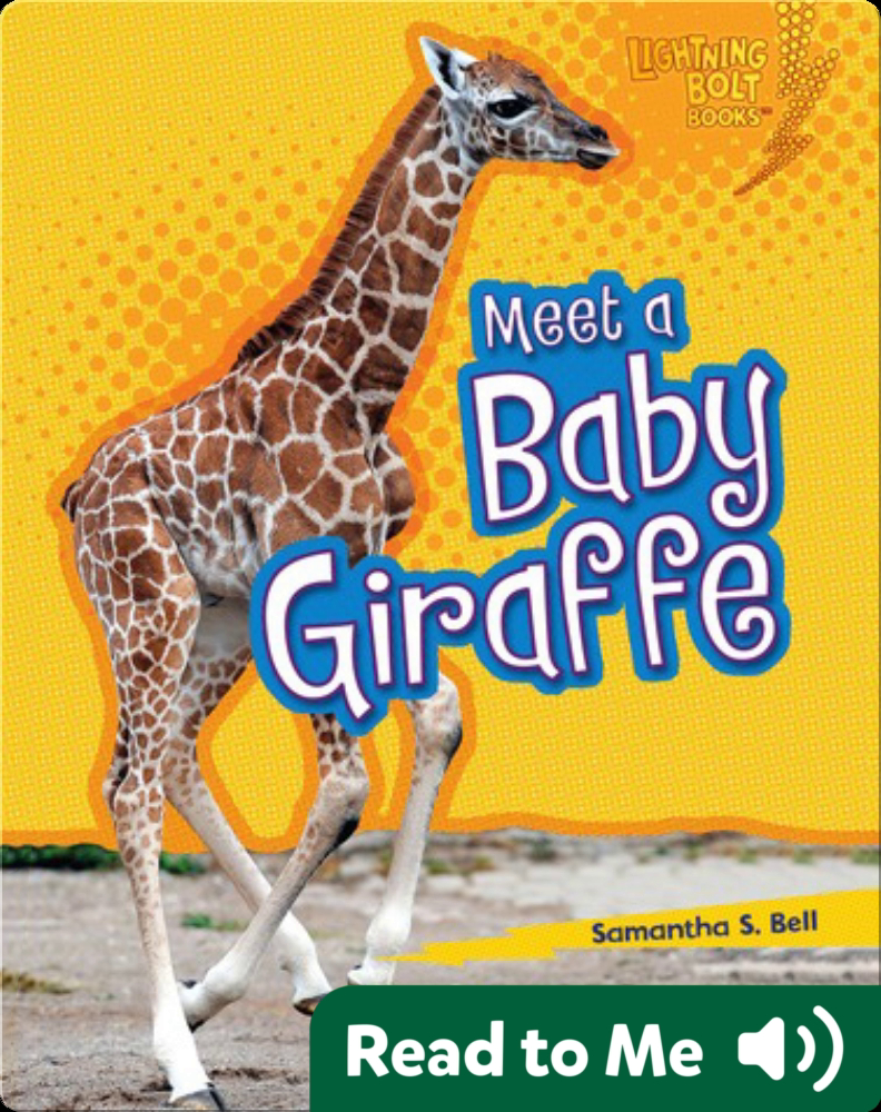 Meet a Baby Giraffe Book by Samantha S. Bell | Epic