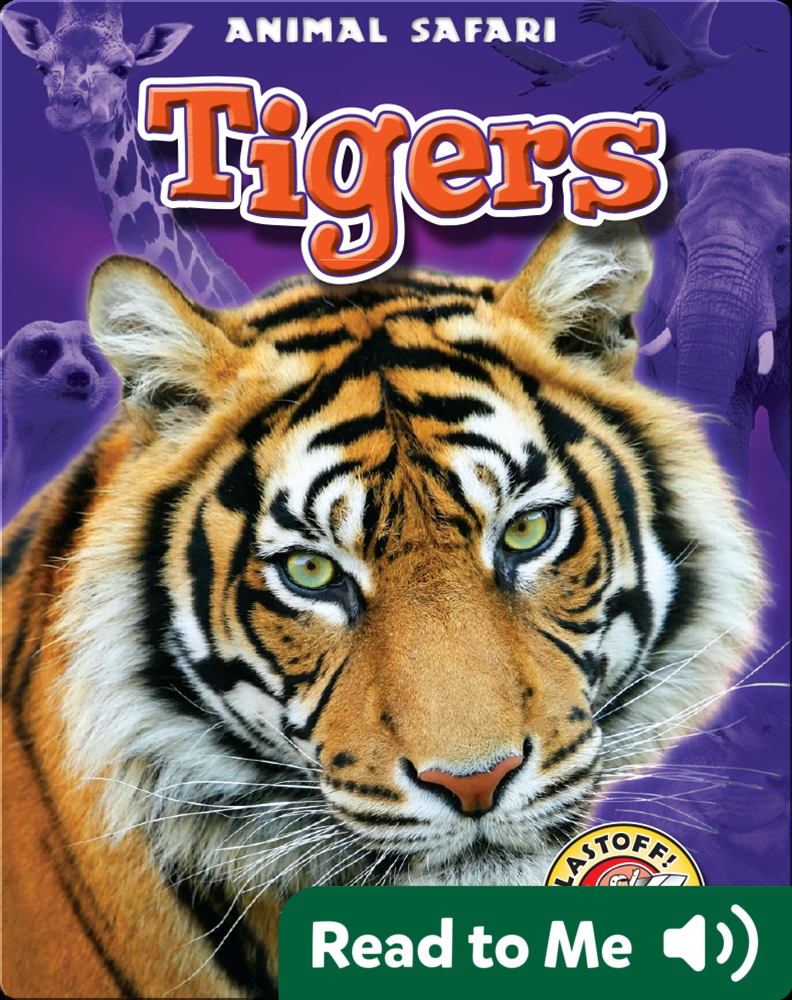 Tigers: Animal Safari Book by Derek Zobel | Epic
