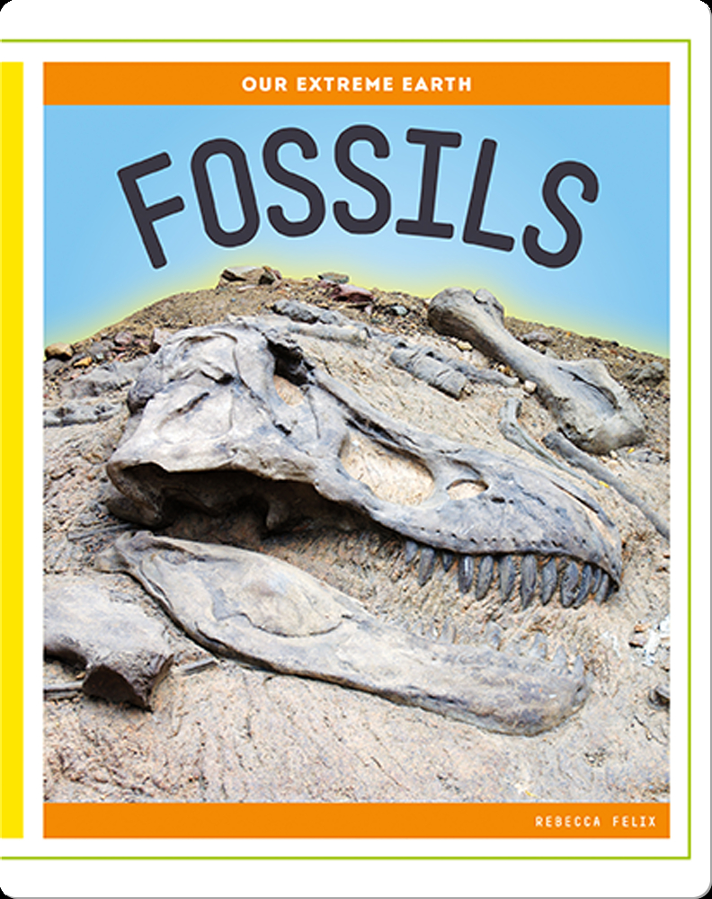 Fossils Book by Rebecca Felix | Epic