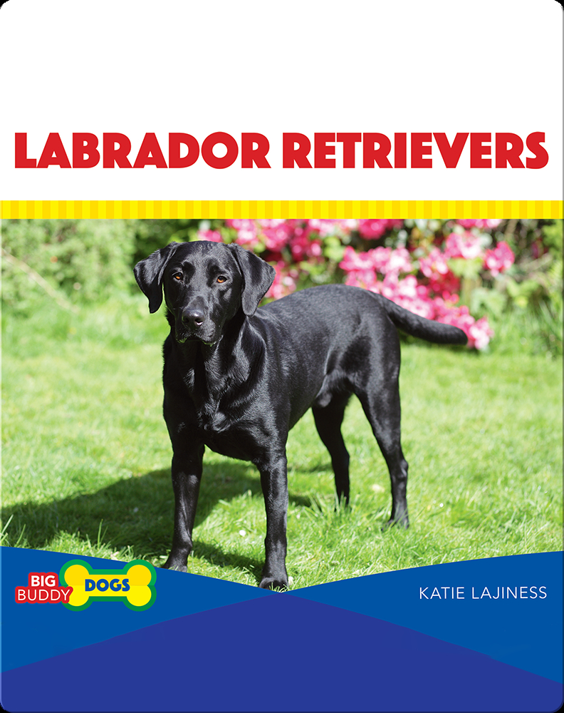 Labrador Retrievers Book by Katie Lajiness | Epic