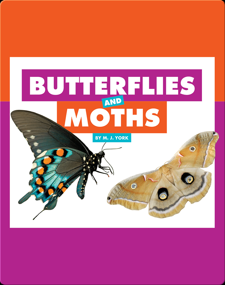 Comparing Animal Differences: Butterflies and Moths Book by M. J. York ...