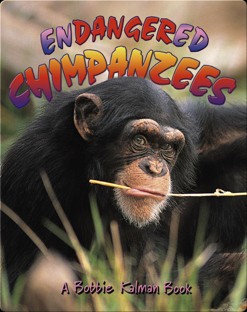 Endangered Chimpanzees Book by Bobbie Kalman, Hadley Dyer | Epic