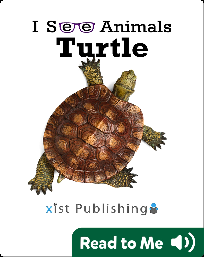 I See Animals: Turtle Book by August Hoeft | Epic