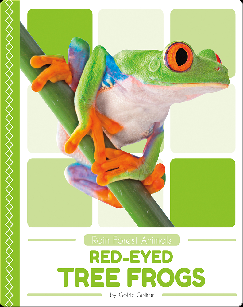 Rain Forest Animals: Red-Eyed Tree Frogs Book by Golriz Golkar | Epic
