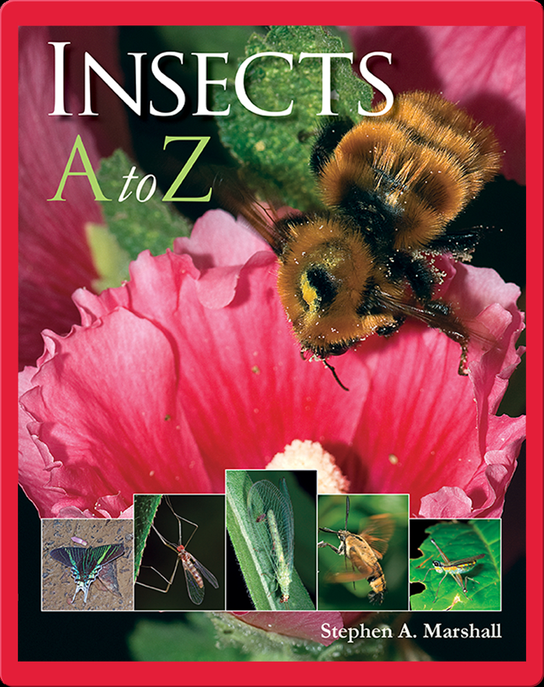 Insects A to Z Book by Stephen A. Marshall | Epic