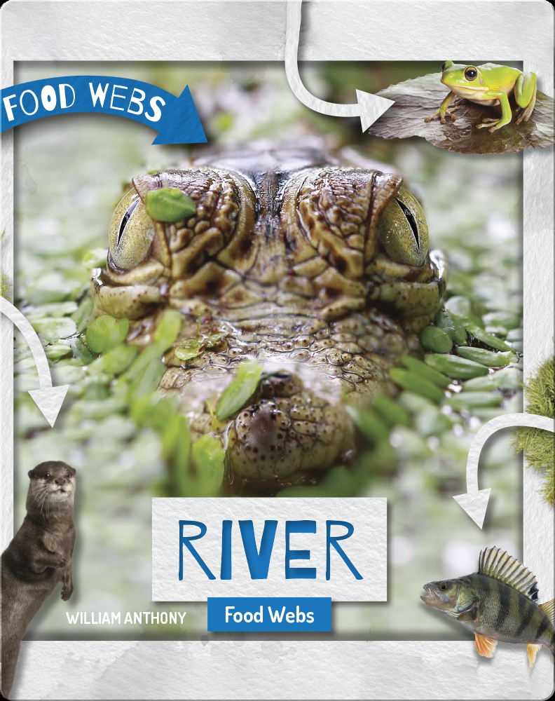 River Food Webs Book by William Anthony | Epic
