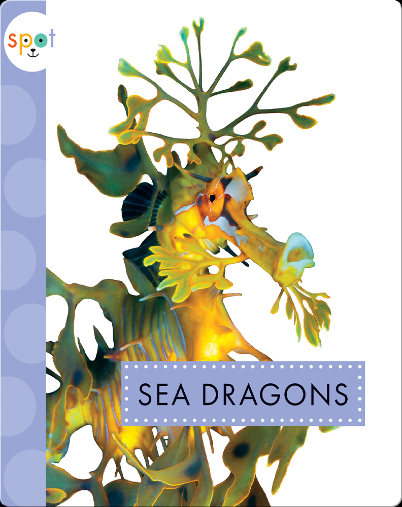 Ocean Animals: Sea Dragons Book by Mari Schuh | Epic