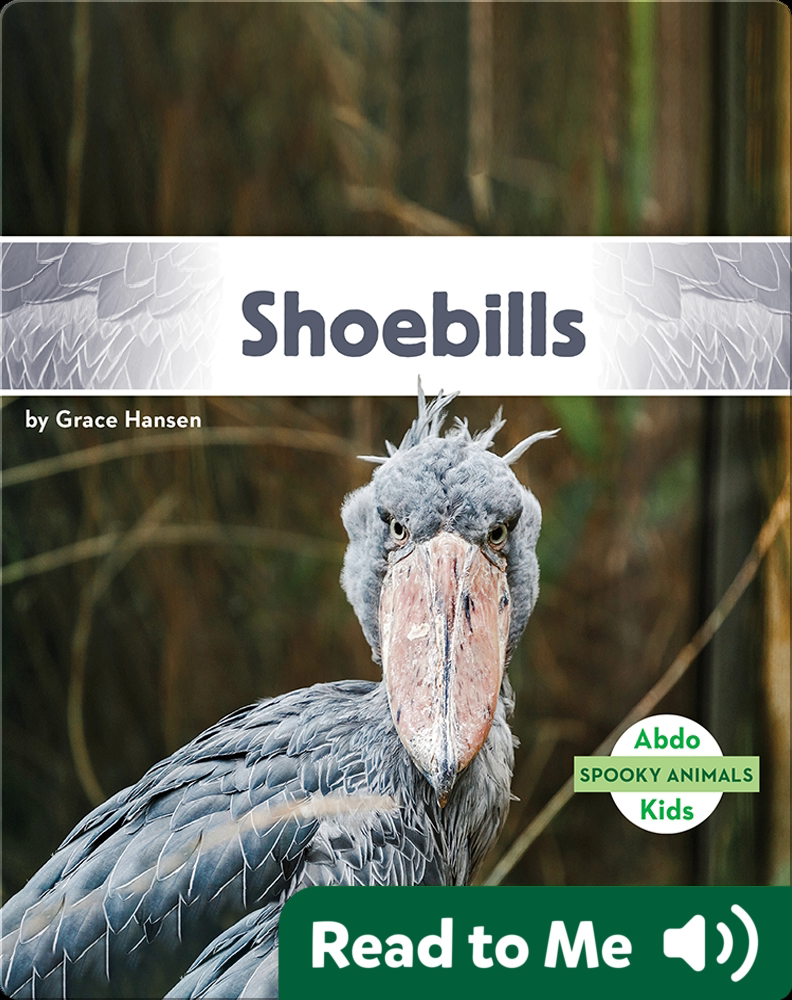 Spooky Animals: Shoebills Book by Grace Hansen | Epic