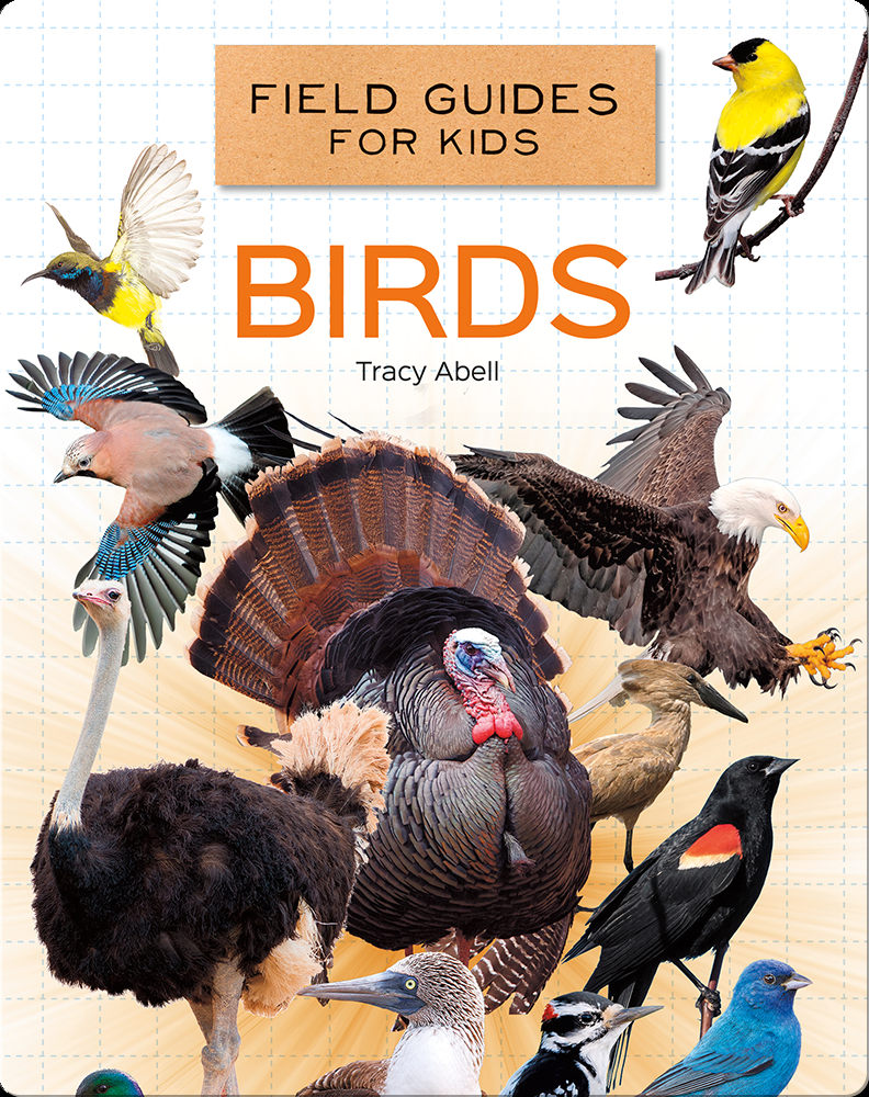 Field Guides for Kids: Birds Book by Tracy Abell | Epic
