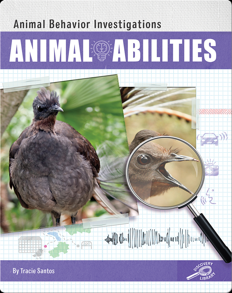Animal Behavior Investigations: Animal Abilities Book by Tracie Santos ...