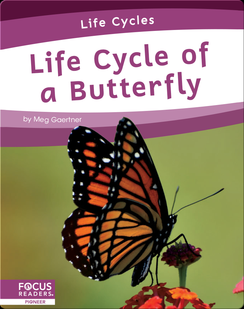 Life Cycle of a Butterfly Book by Meg Gaertner | Epic