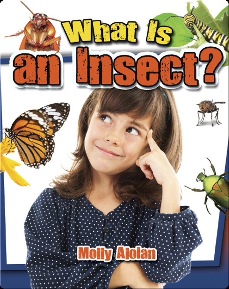 What is an Insect? Book by Molly Aloian | Epic