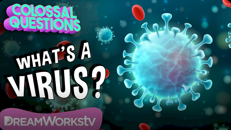 Colossal Questions: What's a Virus? Video | Discover Fun and ...