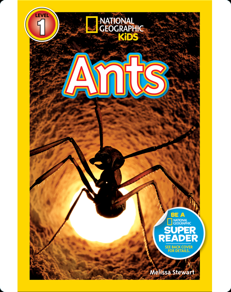 National Geographic Readers: Ants Book by Melissa Stewart | Epic