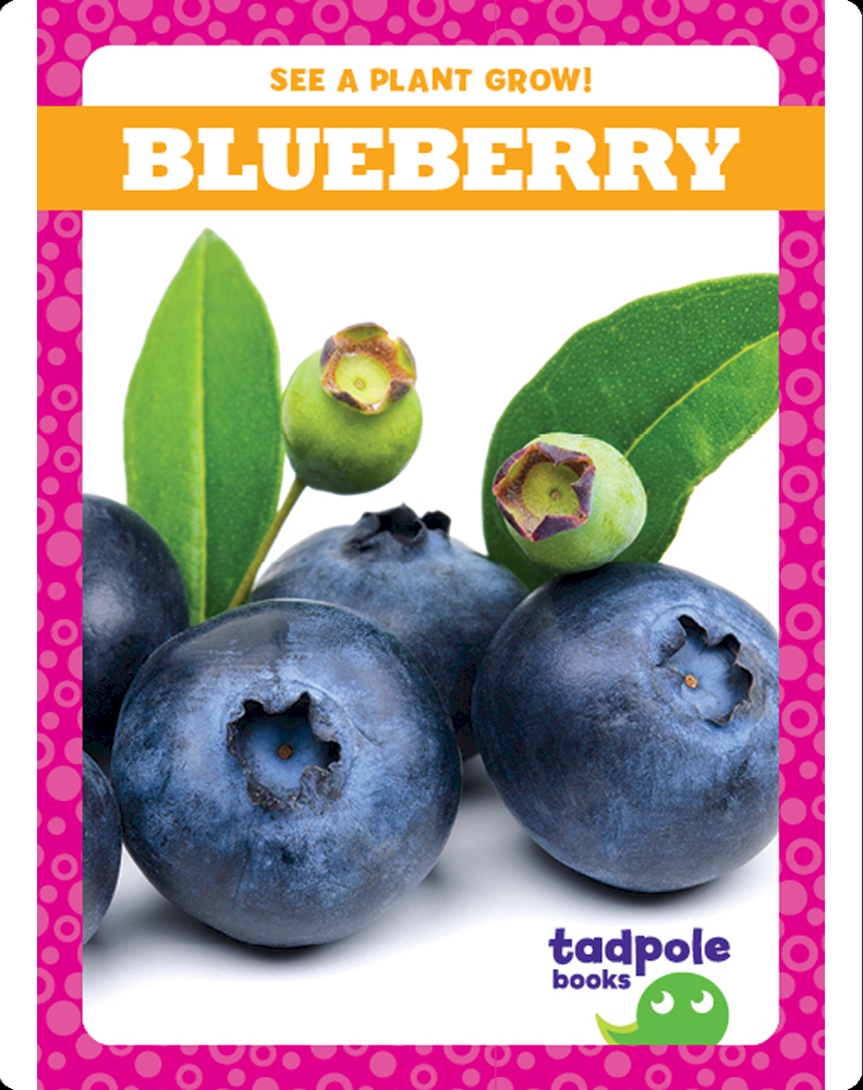 See a Plant Grow!: Blueberry Book by Charlie W. Sterling | Epic