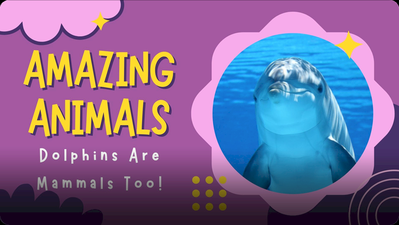 Amazing Animals: Dolphins are Mammals Too Video | Discover Fun and ...