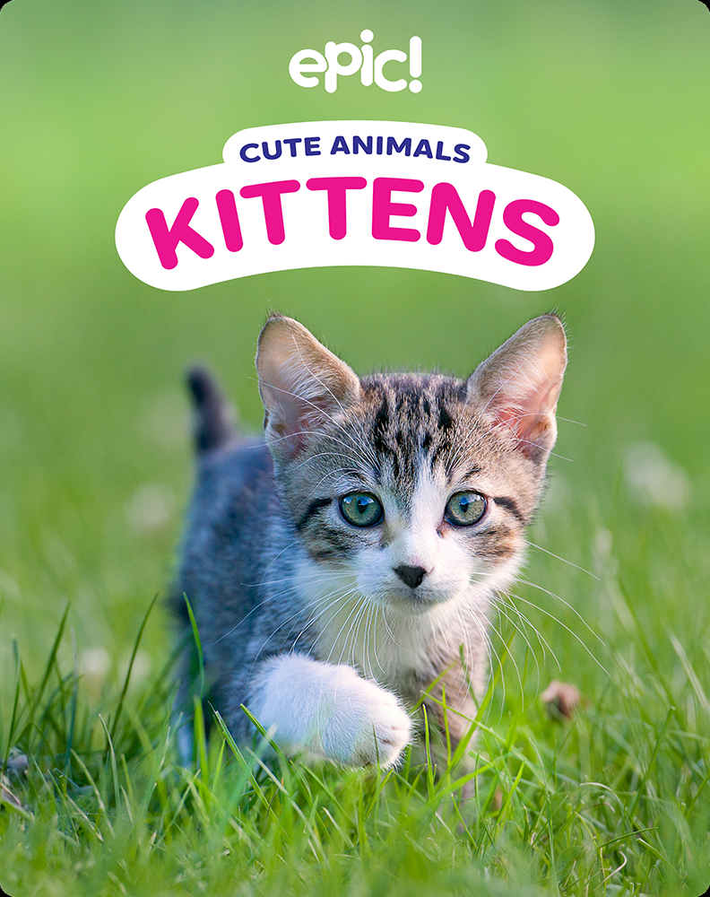 Cute Animals: Kittens Book by Arun Mrithyunjay | Epic