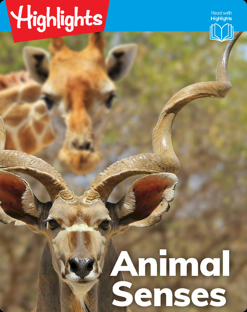 Animal Senses Book by Jody Jensen Shaffer | Epic