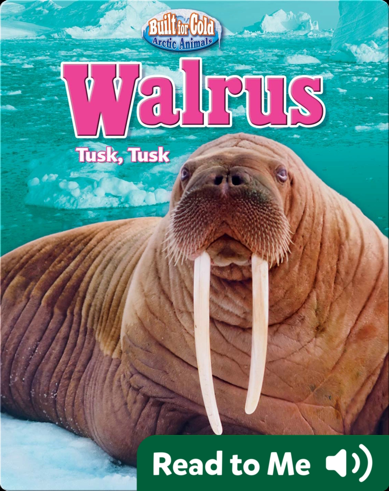 Walrus: Tusk, Tusk Book by Stephen Person | Epic