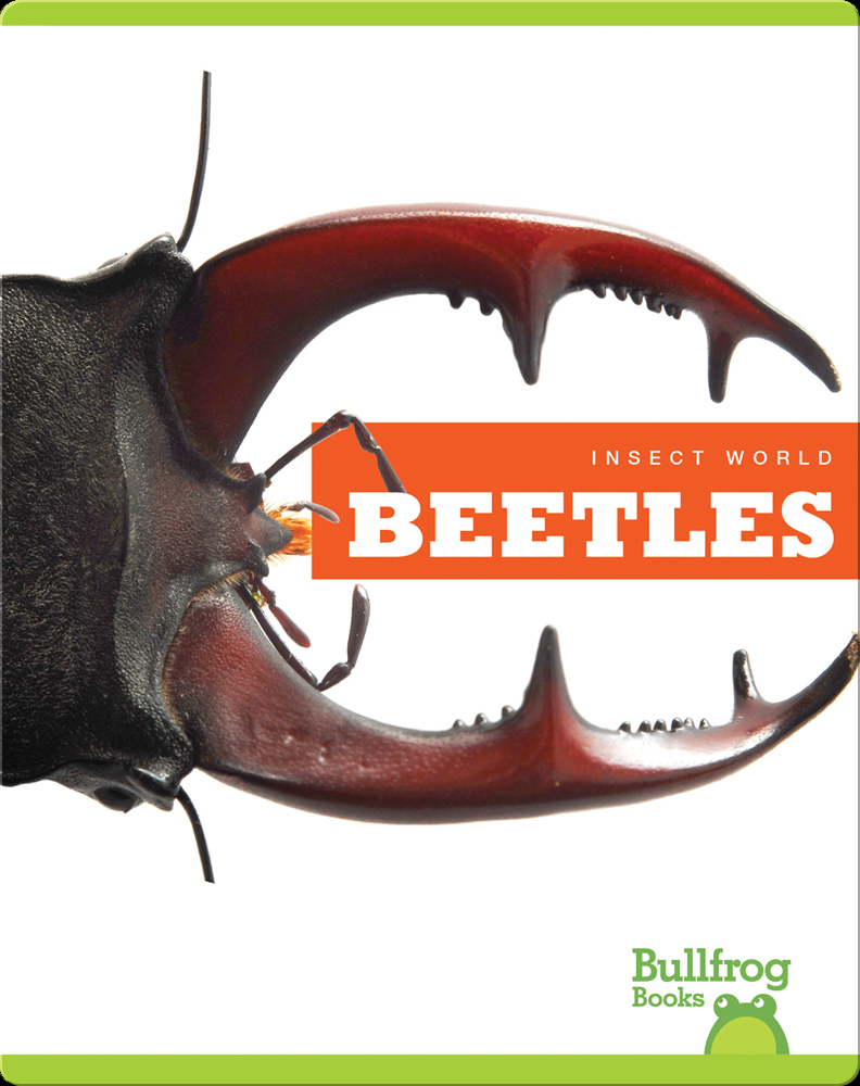 Insect World: Beetles Book by Mari Schuh | Epic