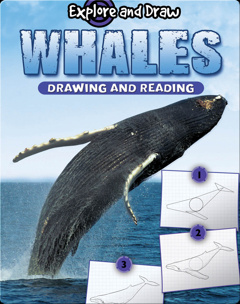 Explore And Draw: Whales Book by Gare Thompson | Epic