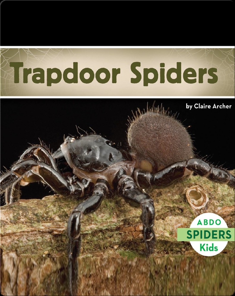 Trapdoor Spiders Book by Claire Archer | Epic