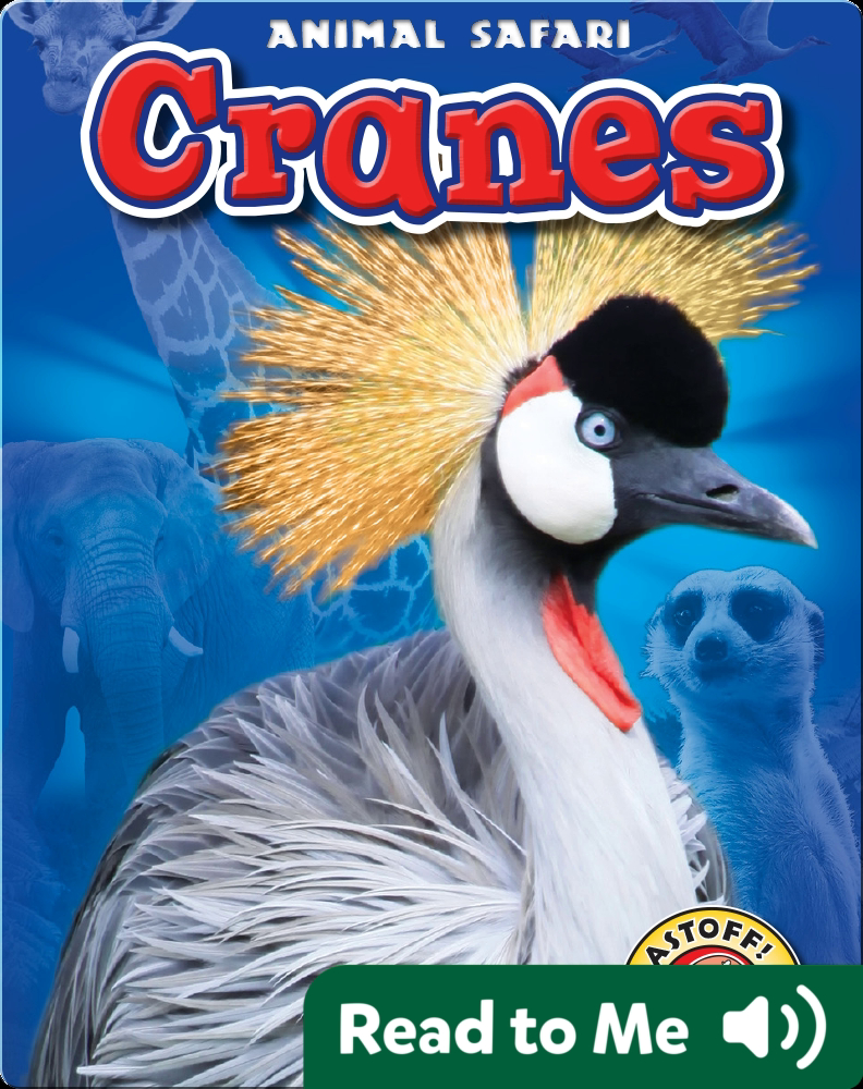 Cranes: Animal Safari Book by Megan Borgert-Spaniol | Epic