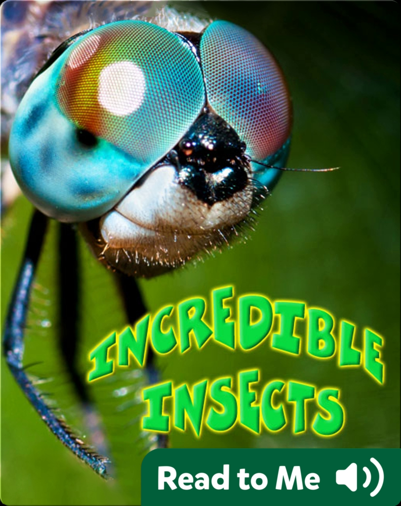 Incredible Insects Book by Kelli Hicks | Epic