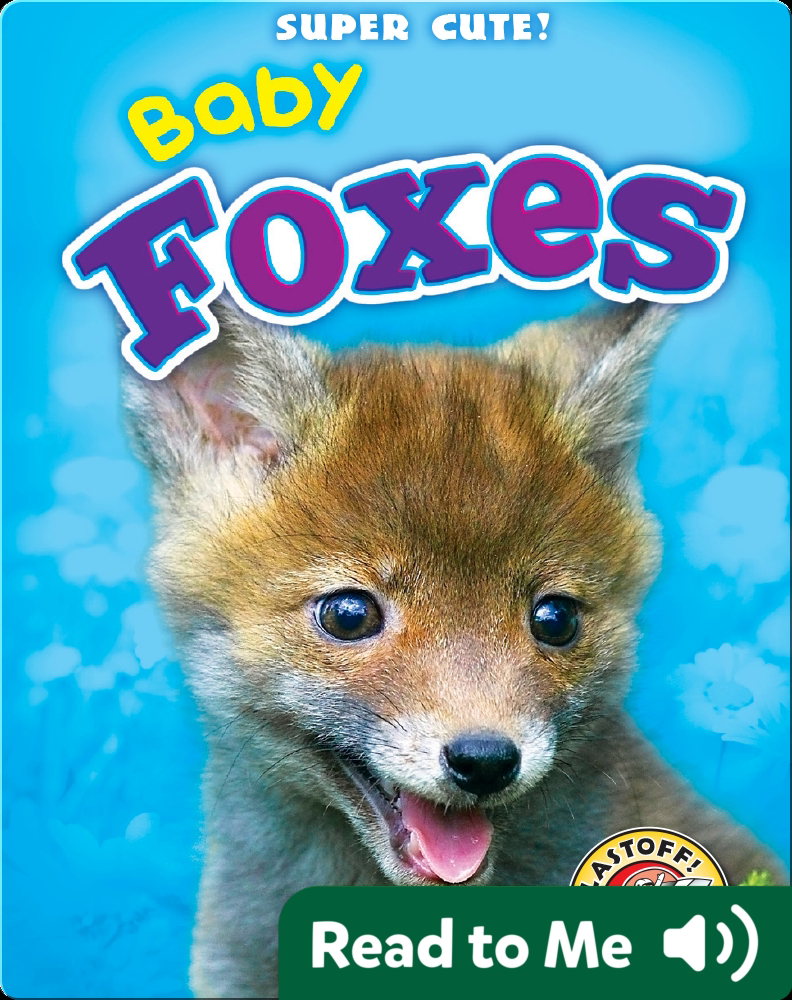 Super Cute! Baby Foxes Book by Megan Borgert-Spaniol | Epic