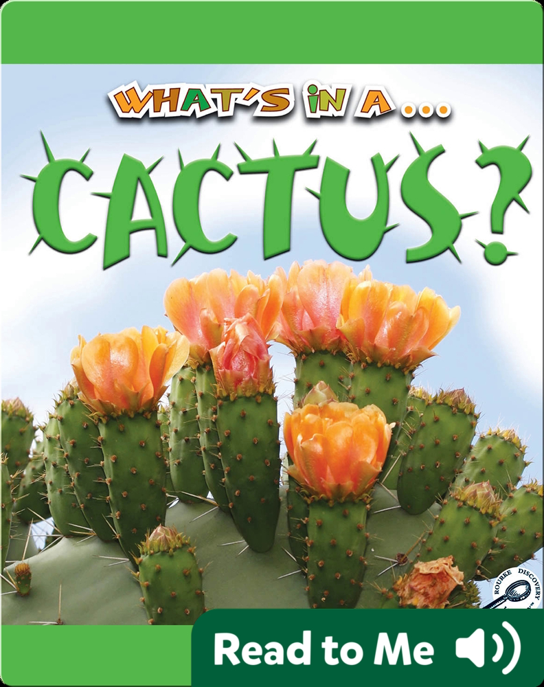 What's In A... Cactus? Book by Tracy Nelson Maurer | Epic