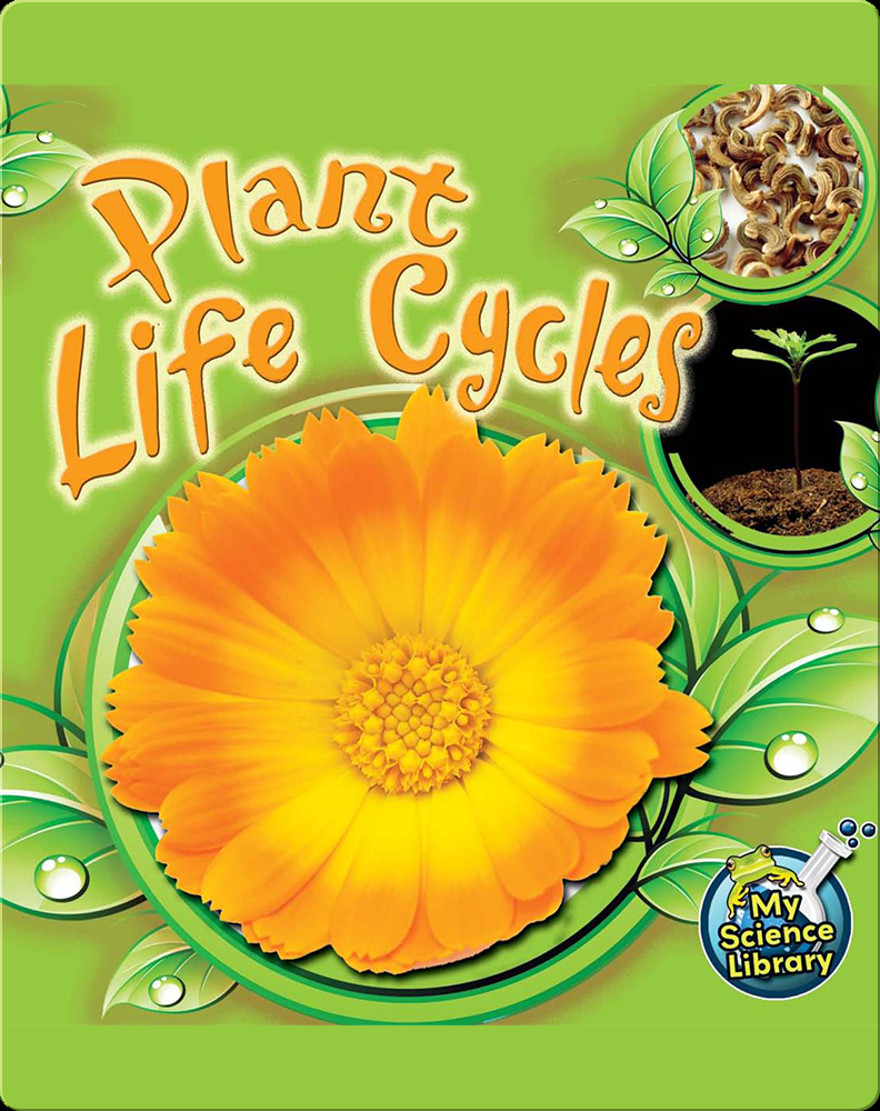 Plant Life Cycles Book by Julie Lundgren | Epic