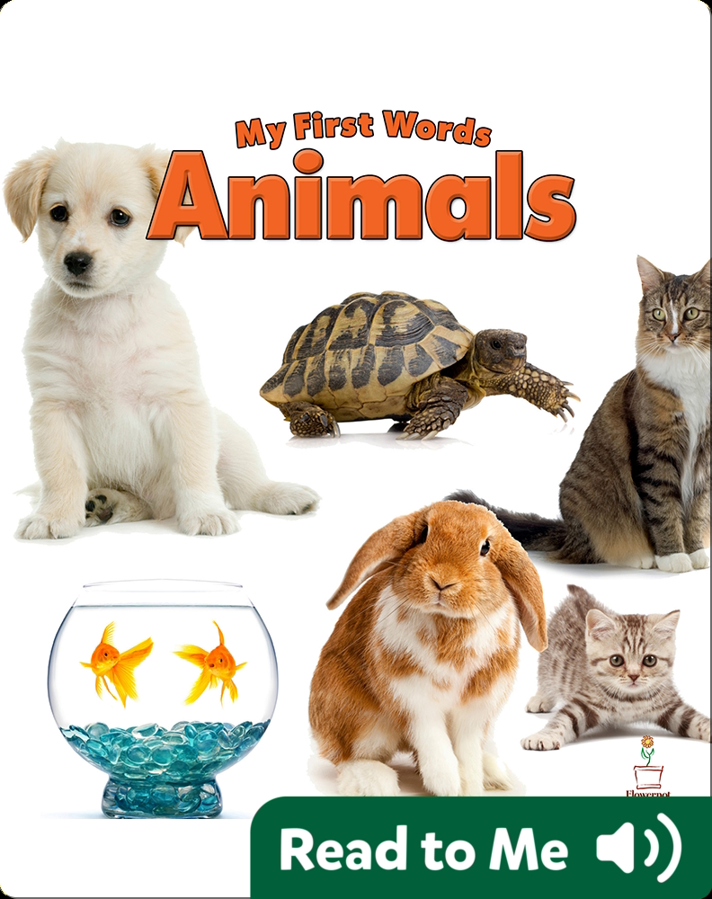 My First Words: Animals Book by Flowerpot Press | Epic